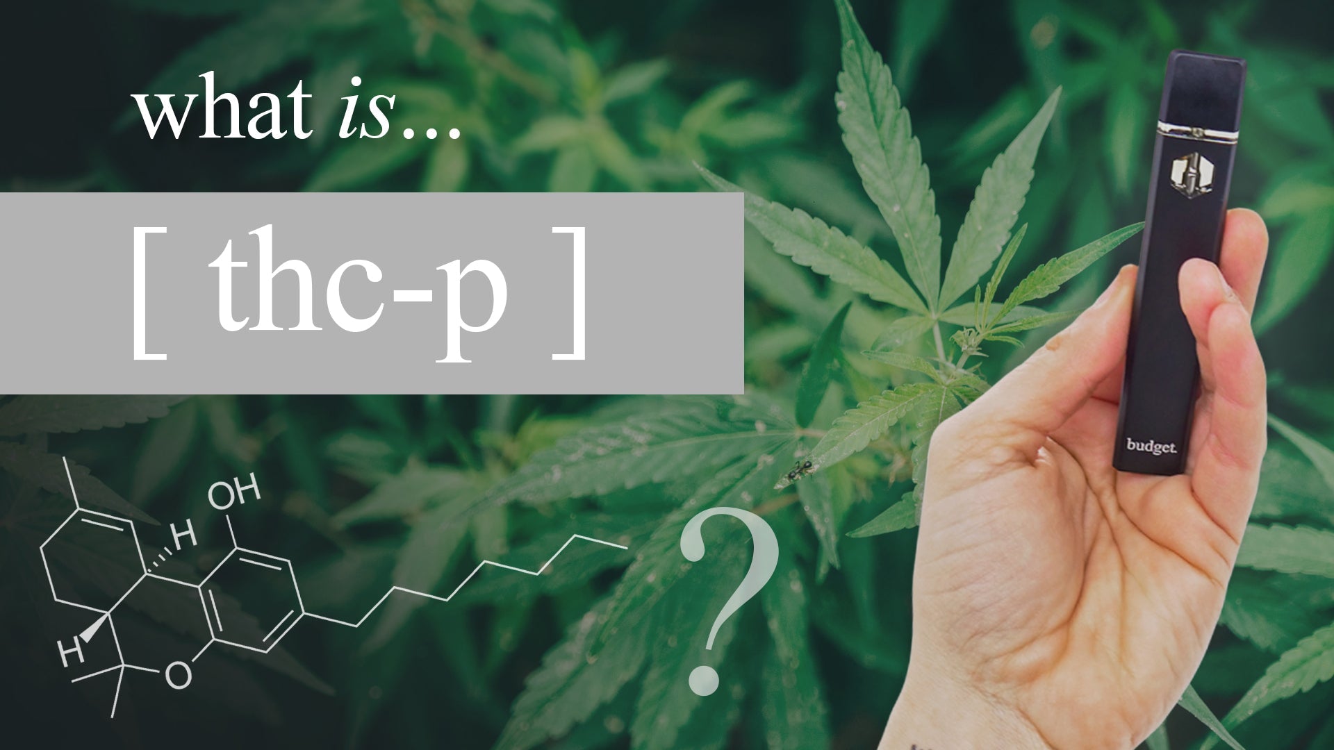 What is THC-P? Stronger Highs with THCP Explained